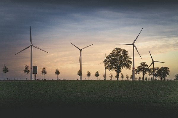 Evergreen Sustainable Supplier Assessment